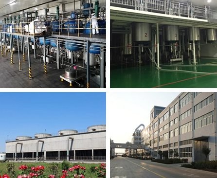 Your Reliable Sodium Saccharin Supplier - Boost Your Business Today!